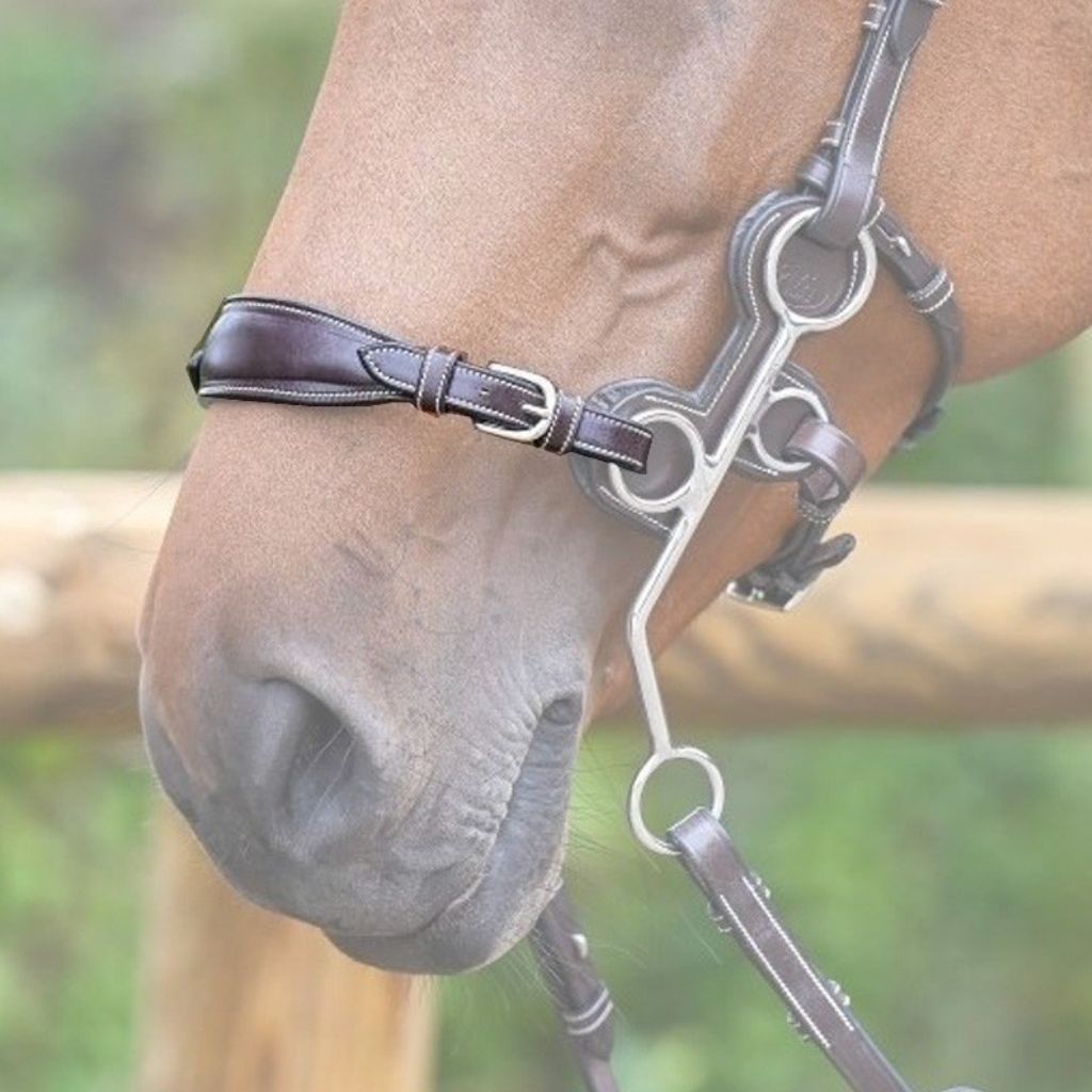 Jump'In Leather Hackamore Noseband — Equi Products
