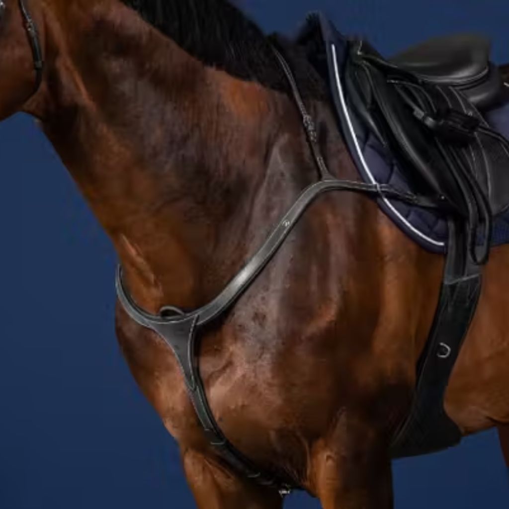 Dyon US Jumping Collection Long Bridge Breastplate — Equi Products