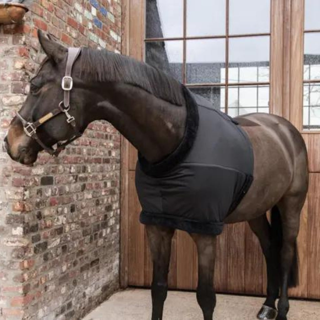 Kentucky Horsewear Chest Protection — Equi Products