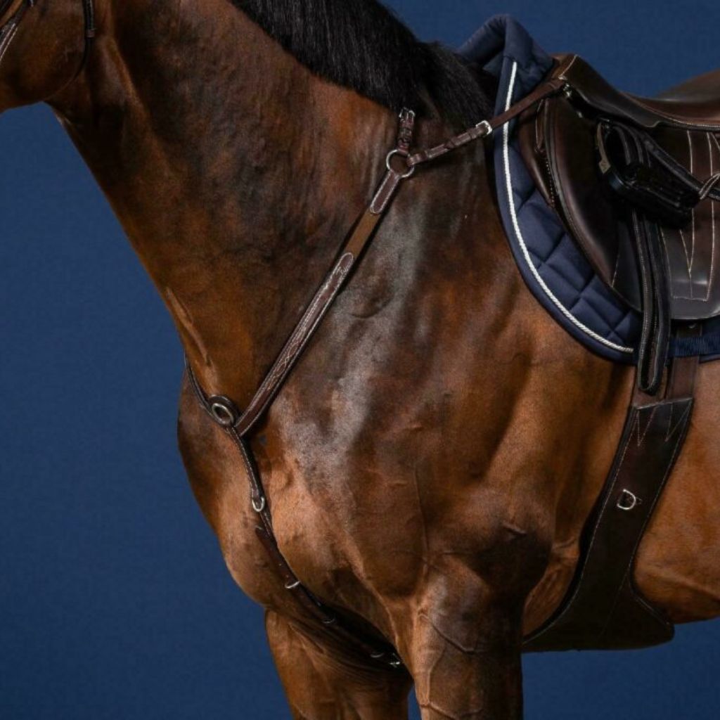 Dyon US Jumping Collection Breastplate with Bridge — Equi Products
