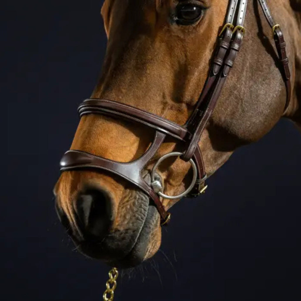 Dyon Collection Double Noseband Bridle — Equi Products