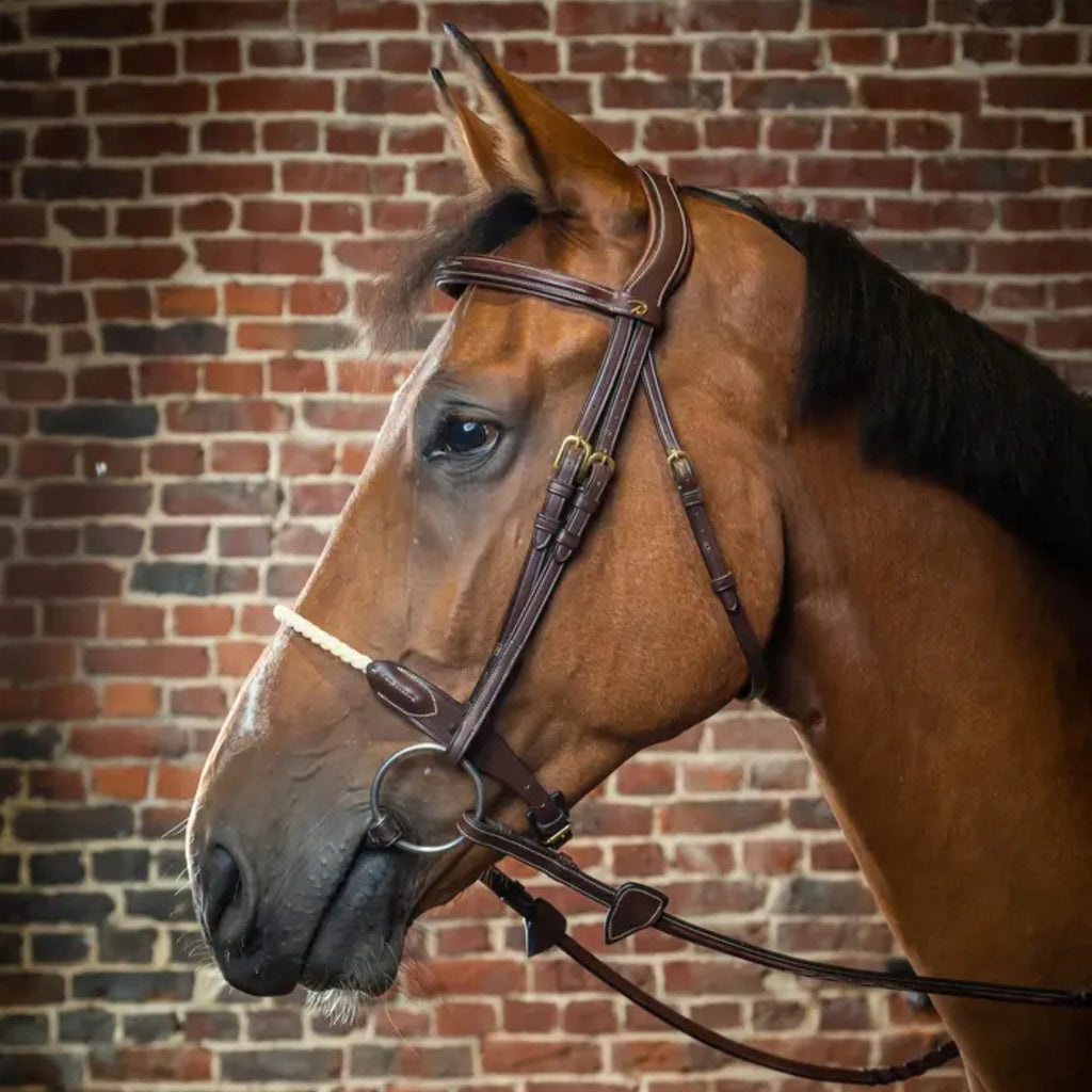 Dyon Collection Rope Noseband Bridle — Equi Products