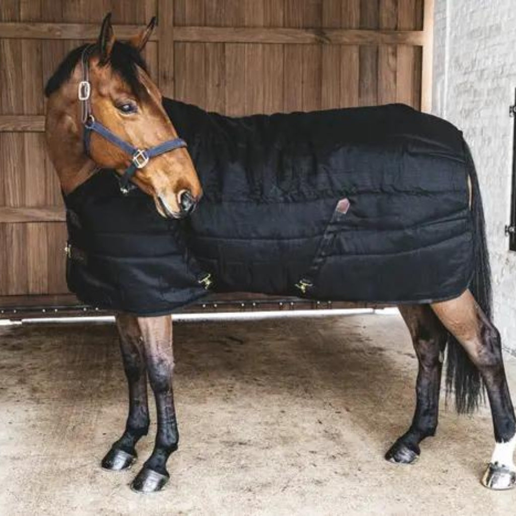 Kentucky Horsewear Stable Rug Classic 100g — Equi Products