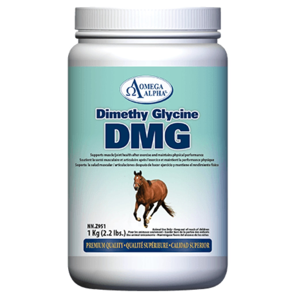 Omega Alpha DMG 1 Kg — Equi Products