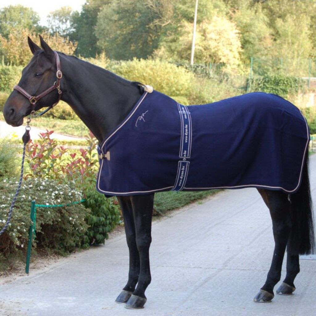 Dyon Elastic Surcingle — Equi Products