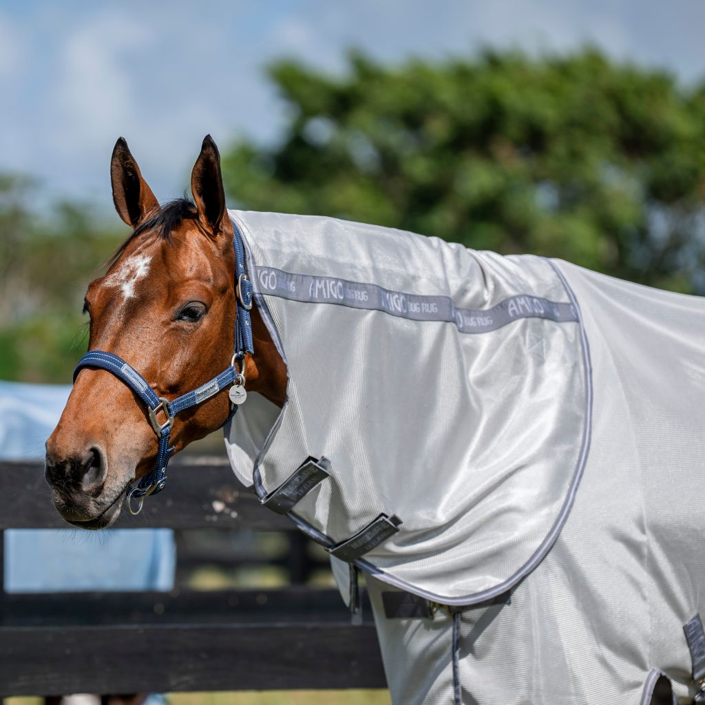 Amigo Bug Rug Plus by Horseware Ireland — Equi Products