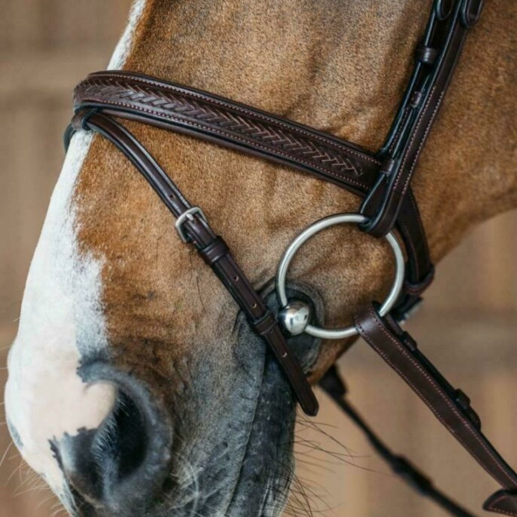 Dyon New English Collection Plaited Flash Noseband Bridle — Equi Products
