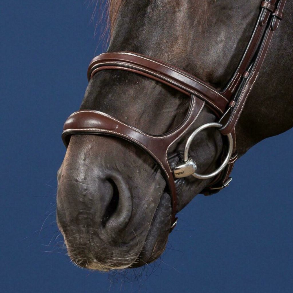 Dyon US Jumping Collection Double Noseband — Equi Products