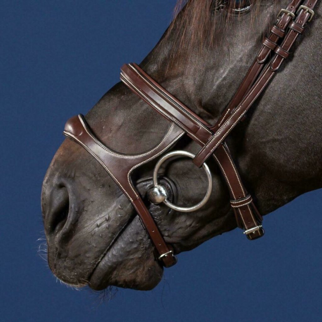 Dyon US Jumping Collection Double Noseband — Equi Products