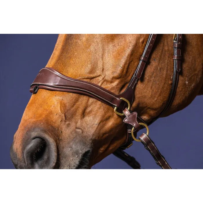 Dyon D Collection D Motion Bridle — Equi Products