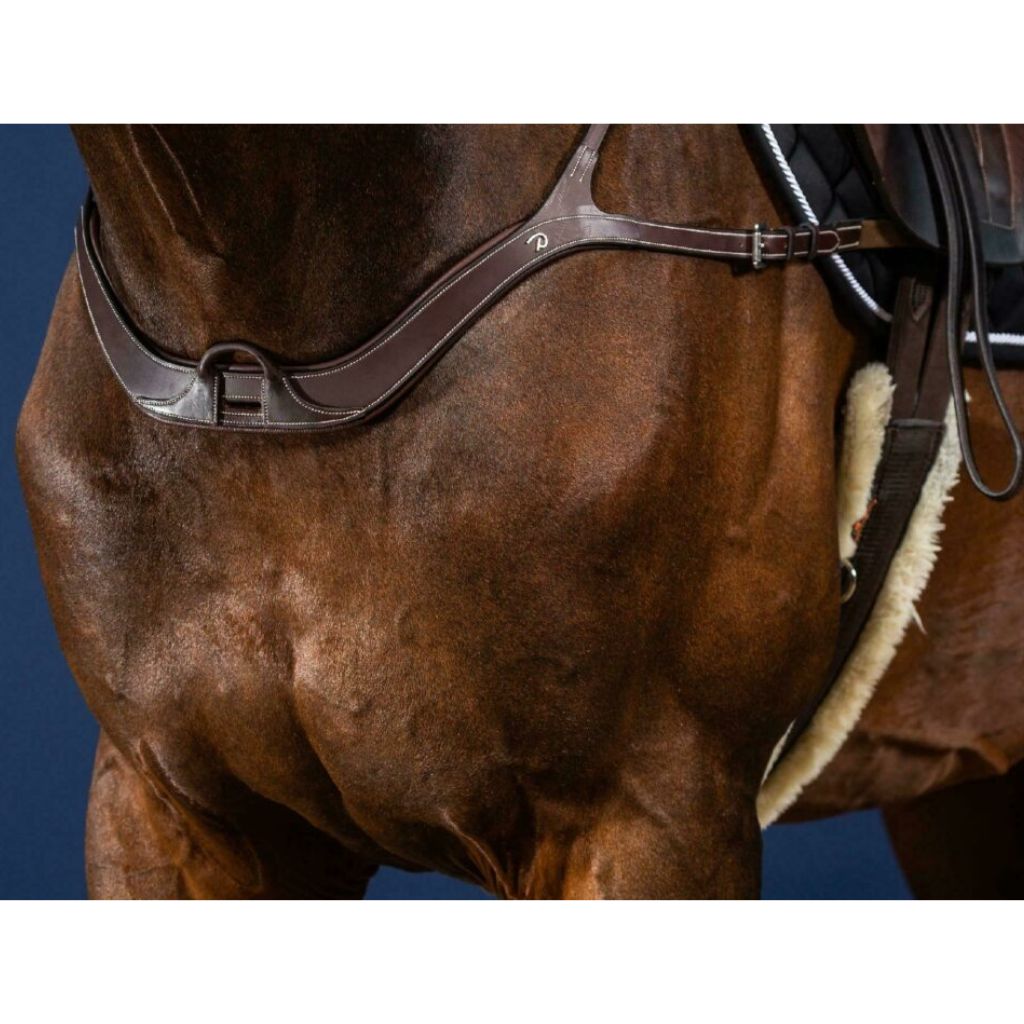 Dyon US Jumping Collection Anatomical Breastplate — Equi Products