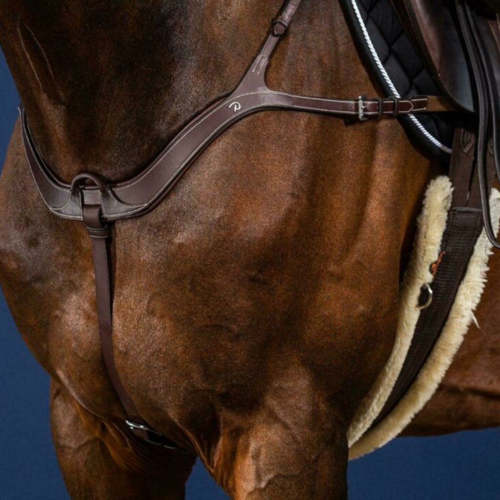 Dyon US Jumping Collection Anatomical Breastplate — Equi Products