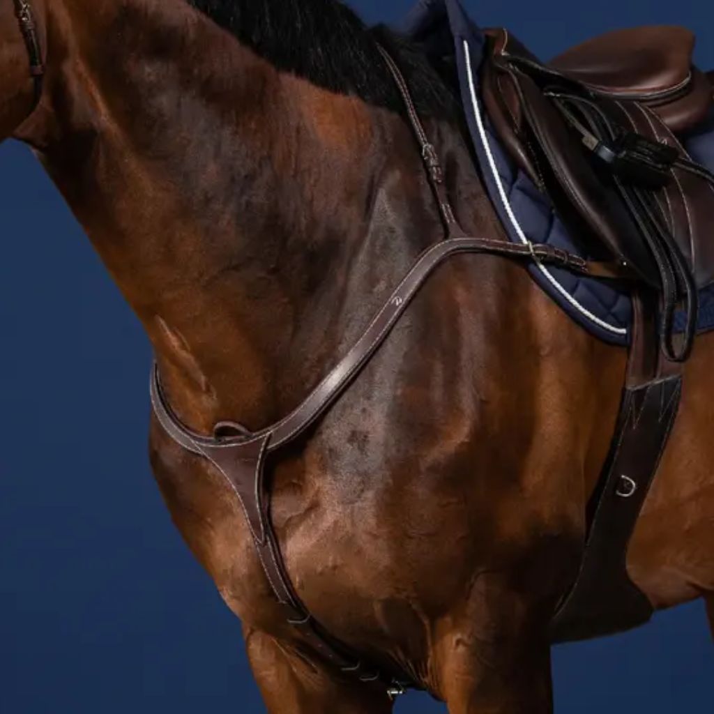 Dyon US Jumping Collection Long Bridge Breastplate — Equi Products
