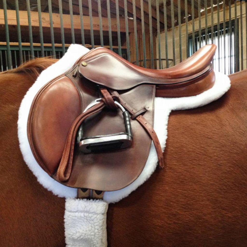Wilker's Cling-On Hunter Pad — Equi Products
