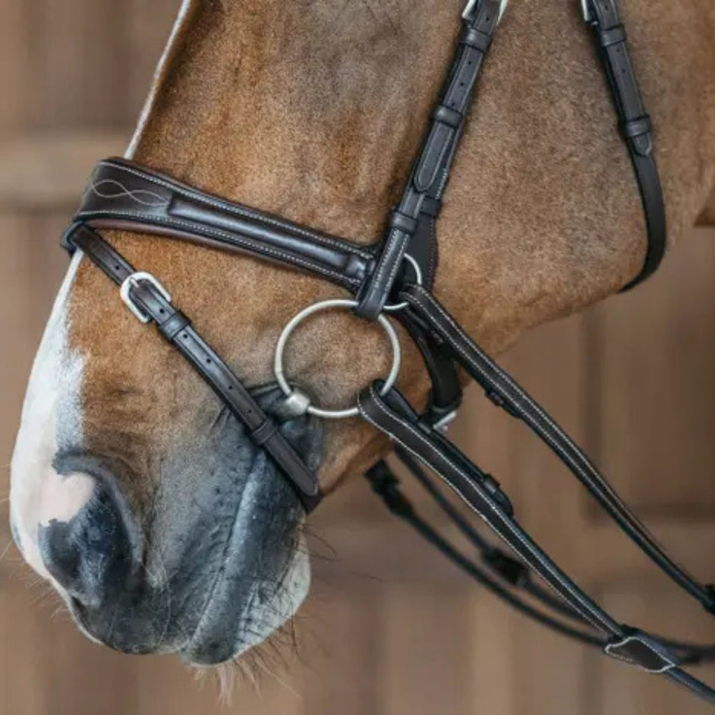 Dyon Working Collection Motion Bridle — Equi Products