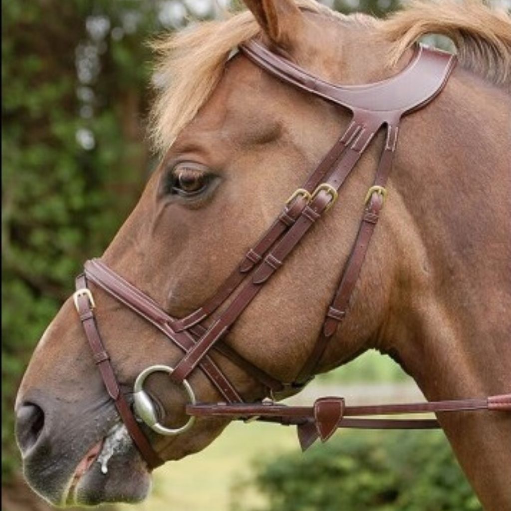 Dyon D Collection Difference Bridle with Flash — Equi Products