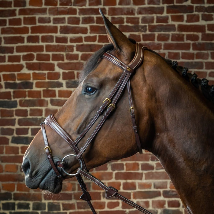 Dyon D Collection Signature Anatomic Flash Noseband Bridle — Equi Products