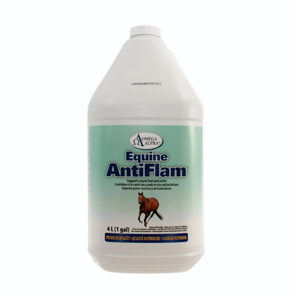 Omega Alpha AntiFlam 4L — Equi Products