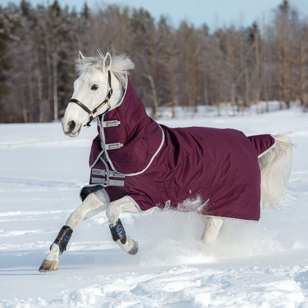 Amigo Hero Plus 600D Ripstop 200g by Horseware Ireland — Equi Products