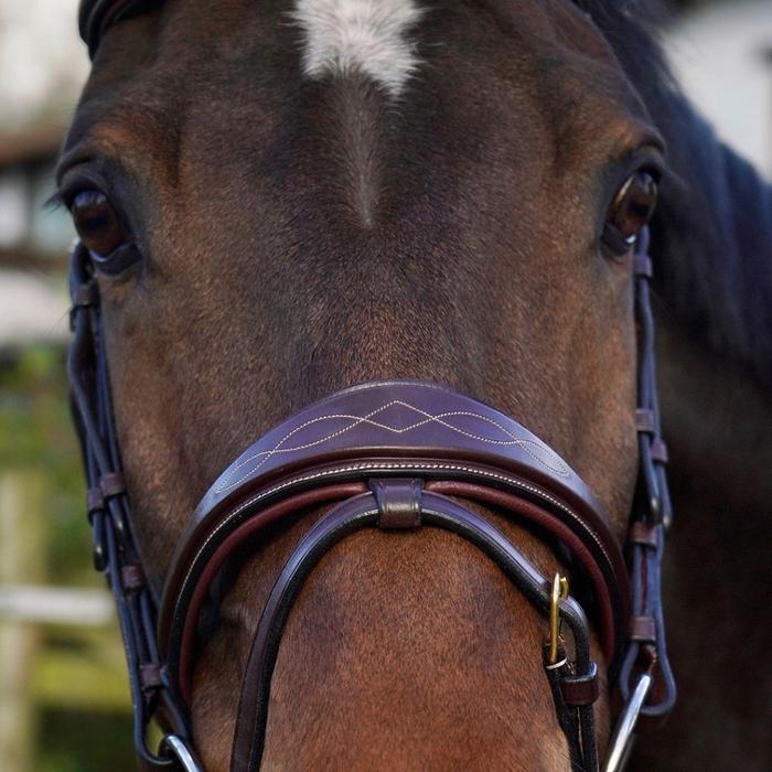 Dyon D Collection Signature Anatomic Flash Noseband Bridle — Equi Products
