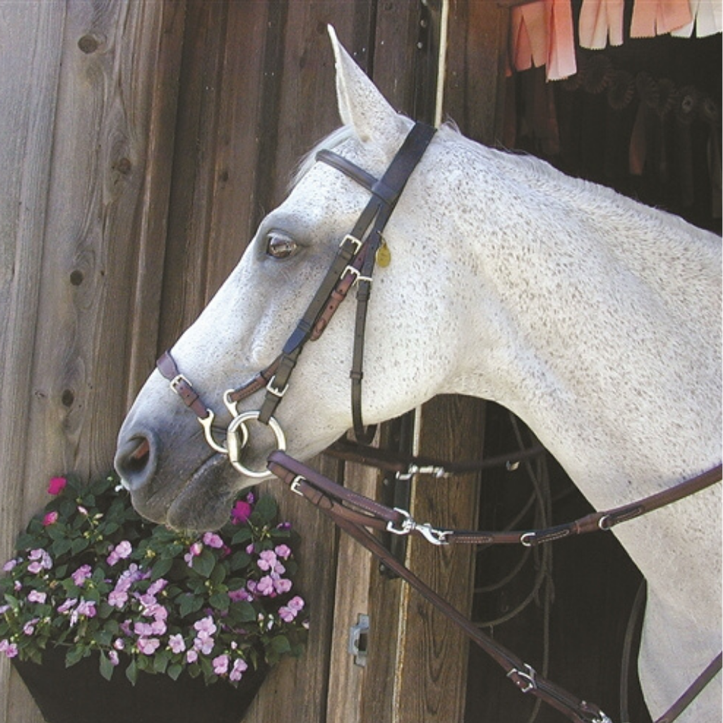 Nunn Finer Kineton Noseband — Equi Products
