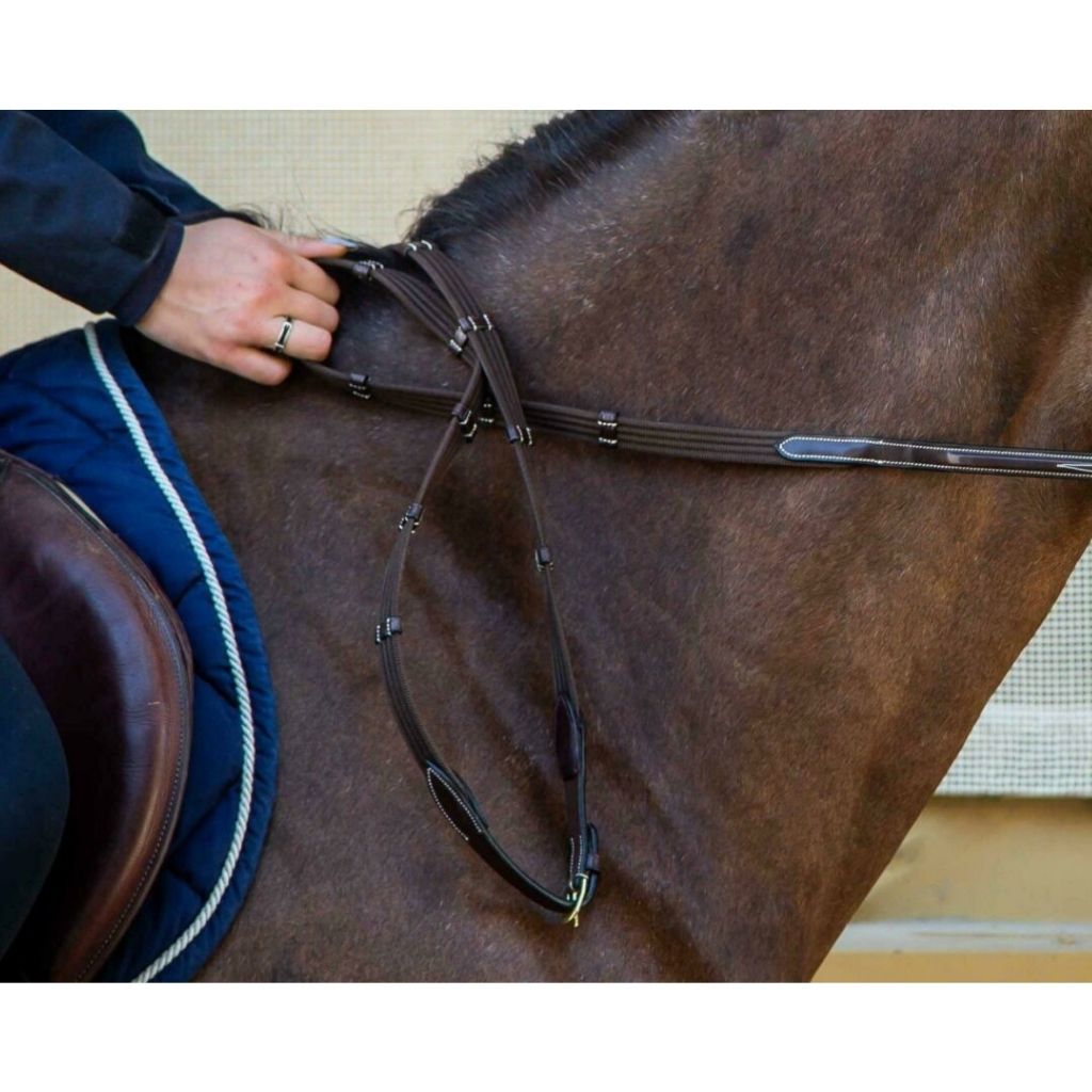 Dyon D Collection Web Reins 5/8" with 9 Leather Stops — Equi Products